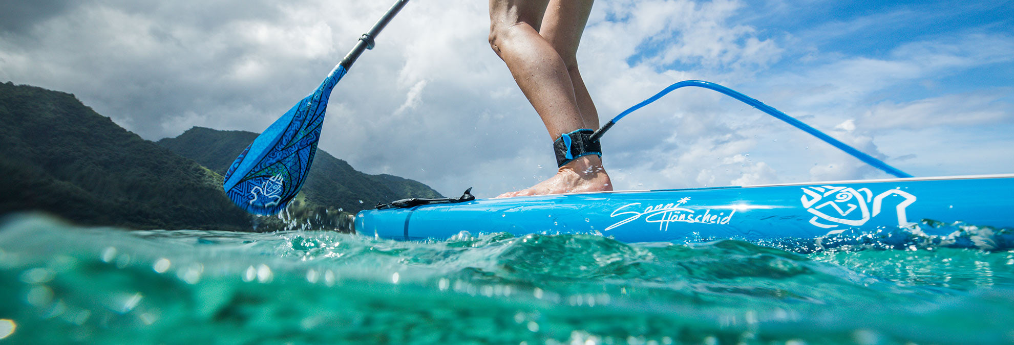 Leashes & Fins – Buckeye Surf